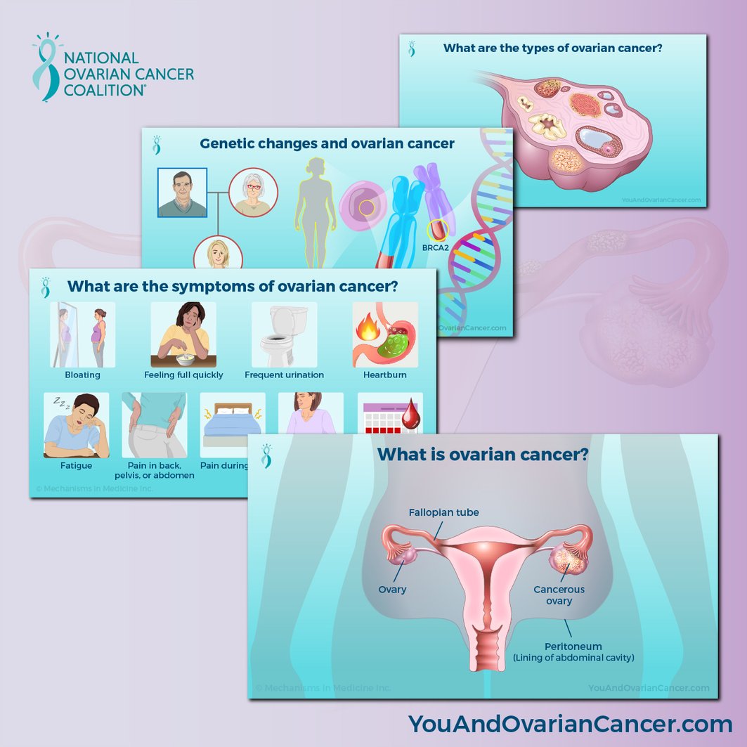 Animated Patient Guide