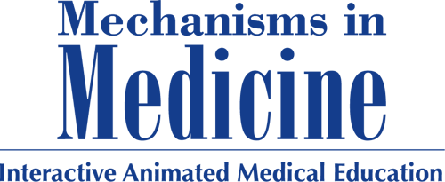 Animated Patient Guide